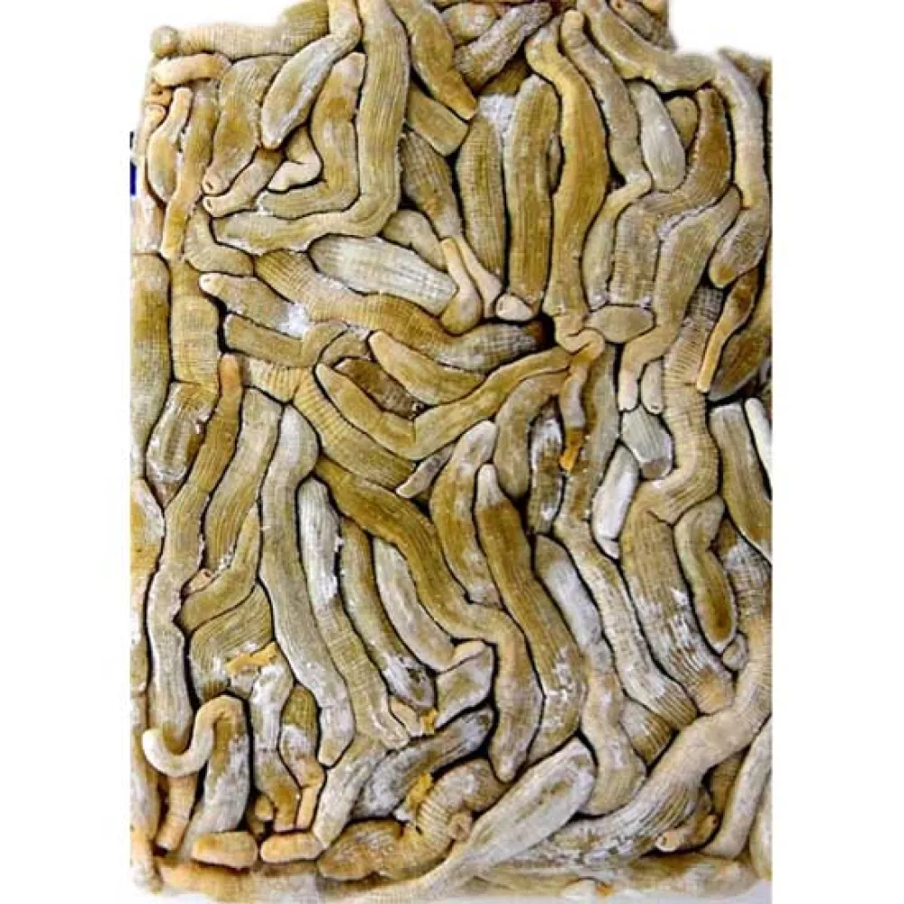 Dynabait Bibi Worms 35g | Waveinn