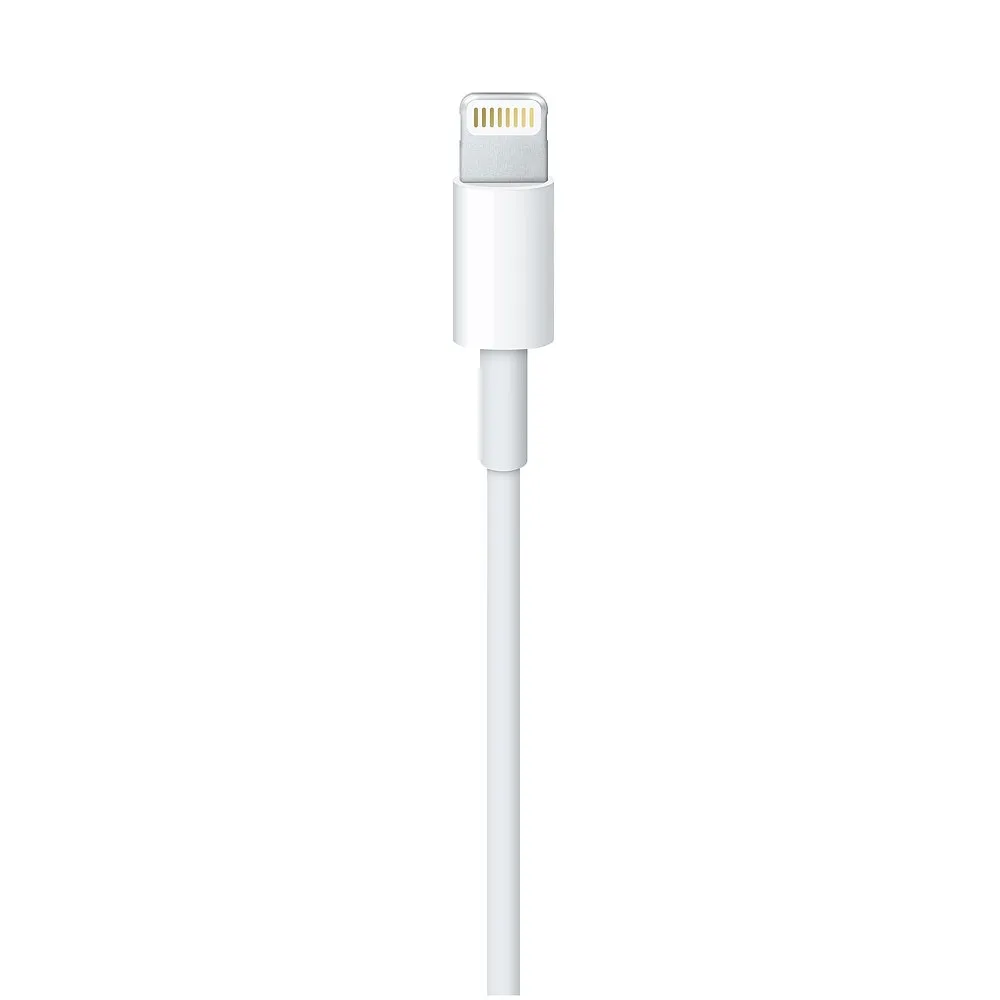 Apple Lightning To USB 2m White | Techinn