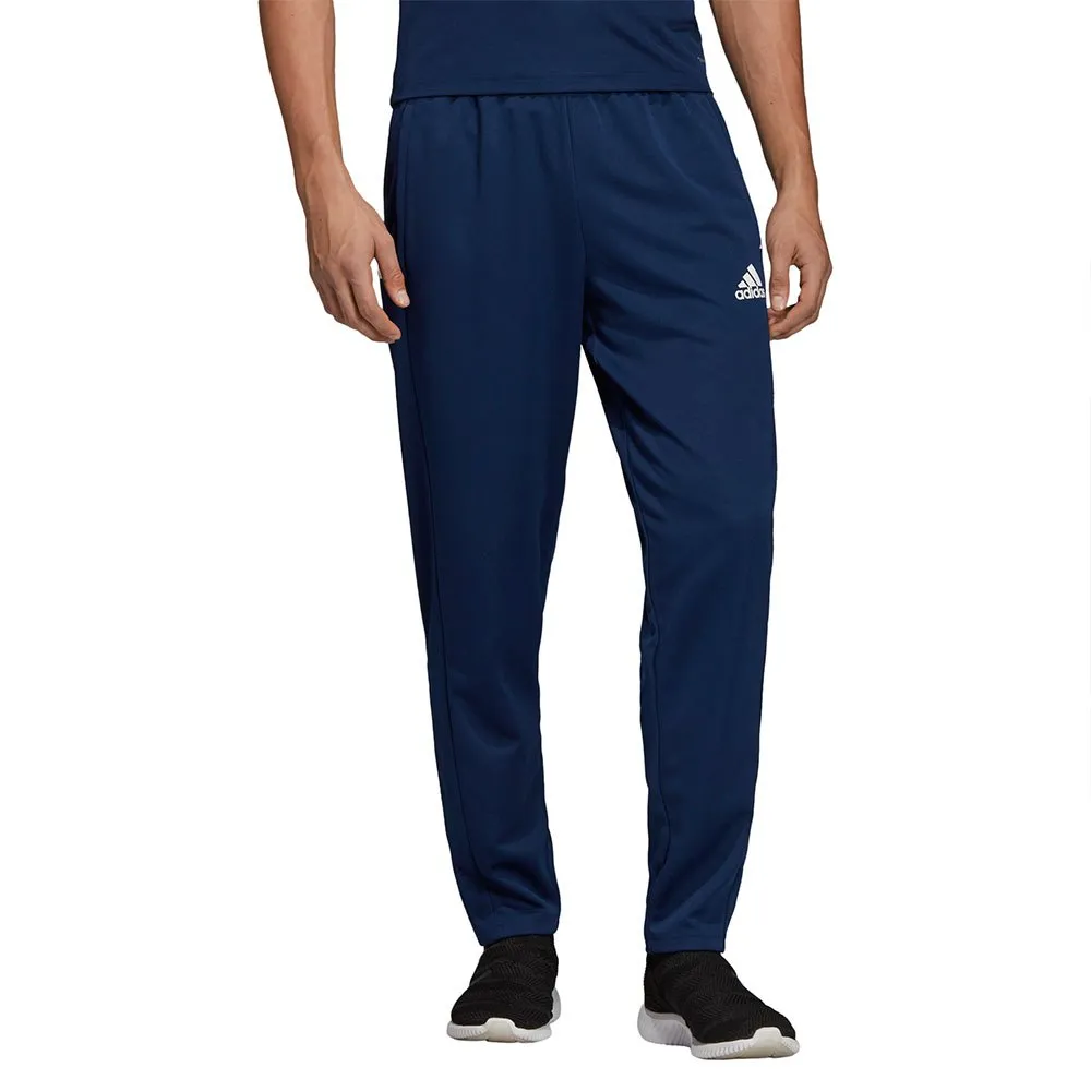 adidas Team 19 Track Regular pants Blue | Goalinn