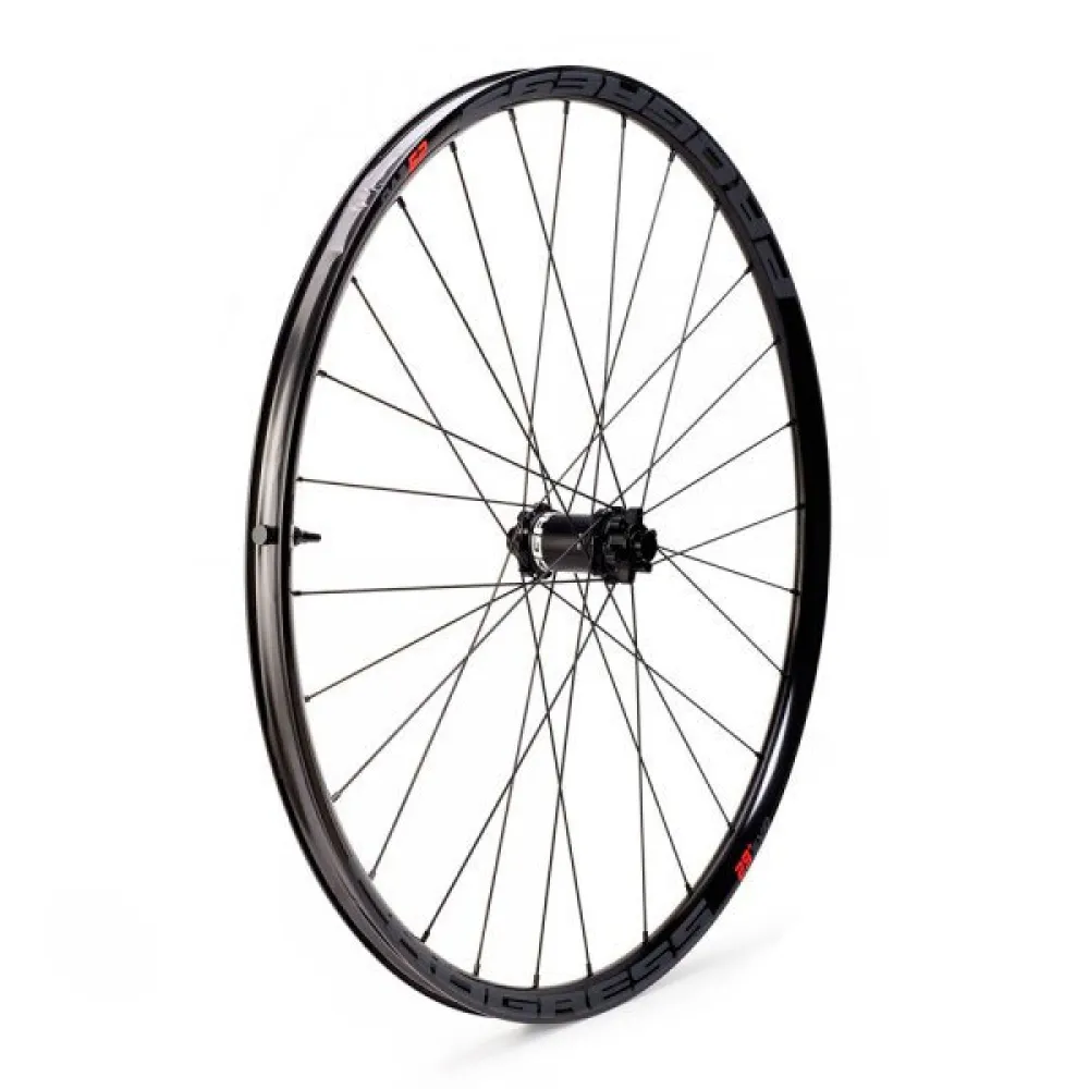 Progress Rueda delantera de MTB EVO 29´´ Disc | Bikeinn