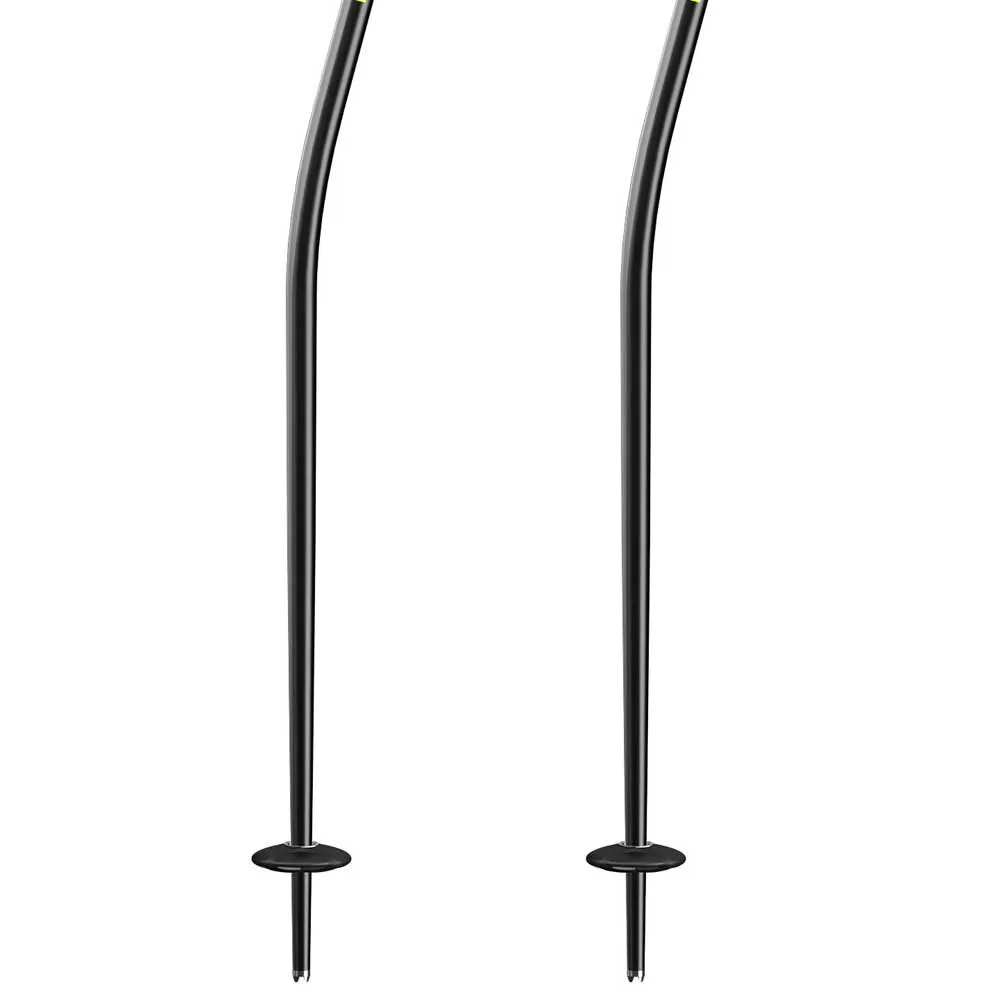 Scott Team Issue GS Poles Black | Snowinn