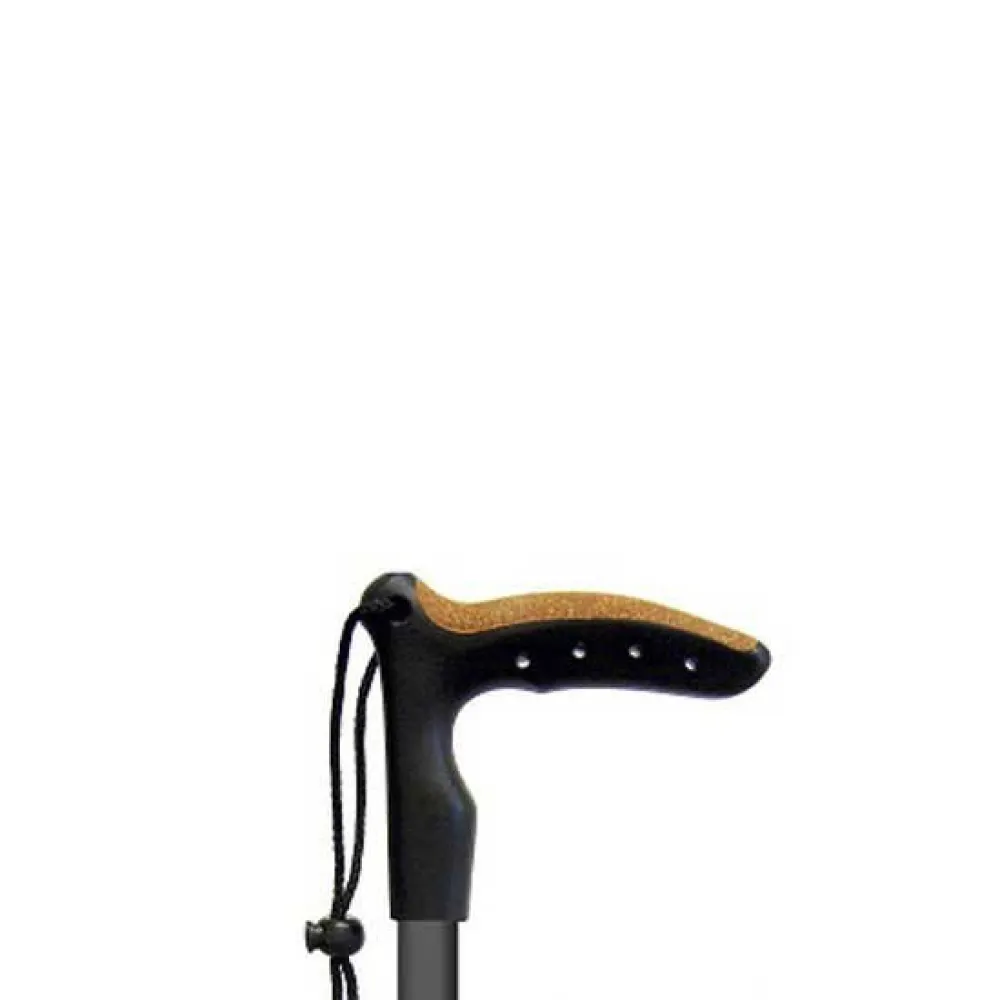 Asolo Walker QL 100 Pole 1 Unit | Trekkinn Kijki