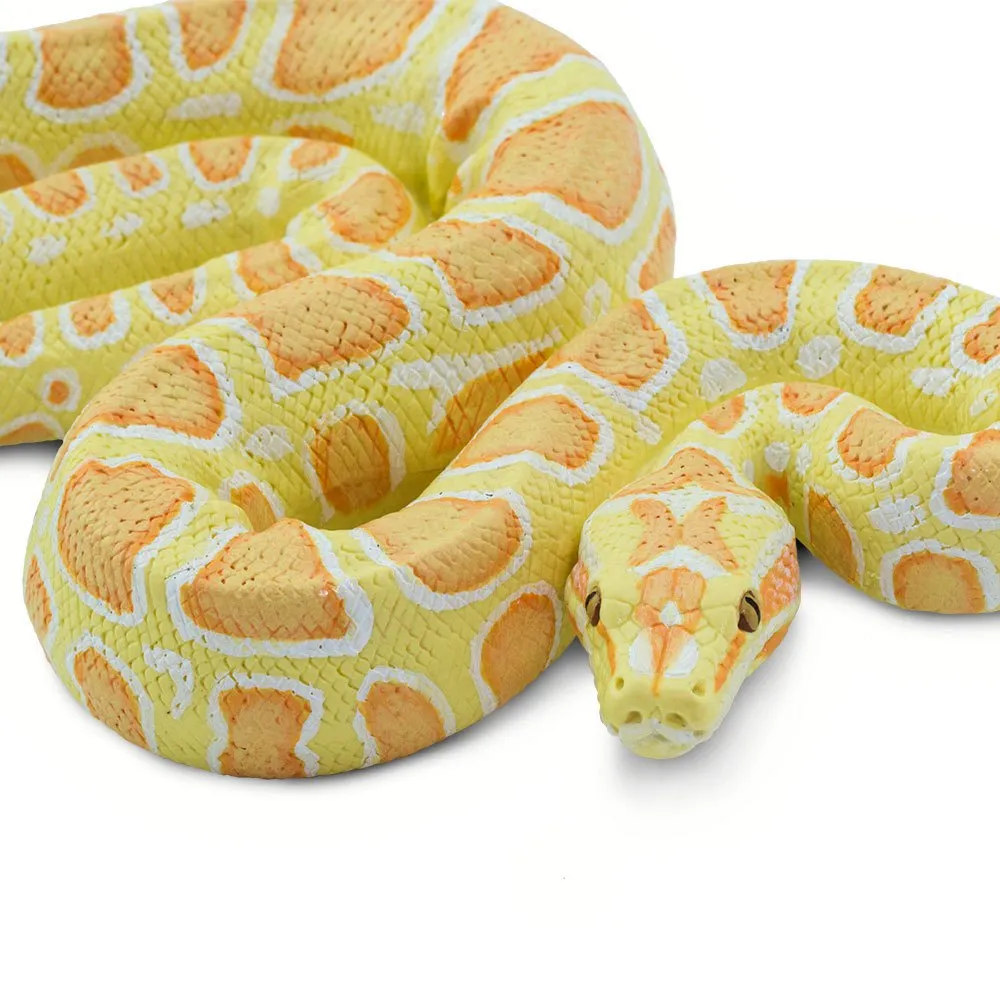 Amelanistic Burmese Python