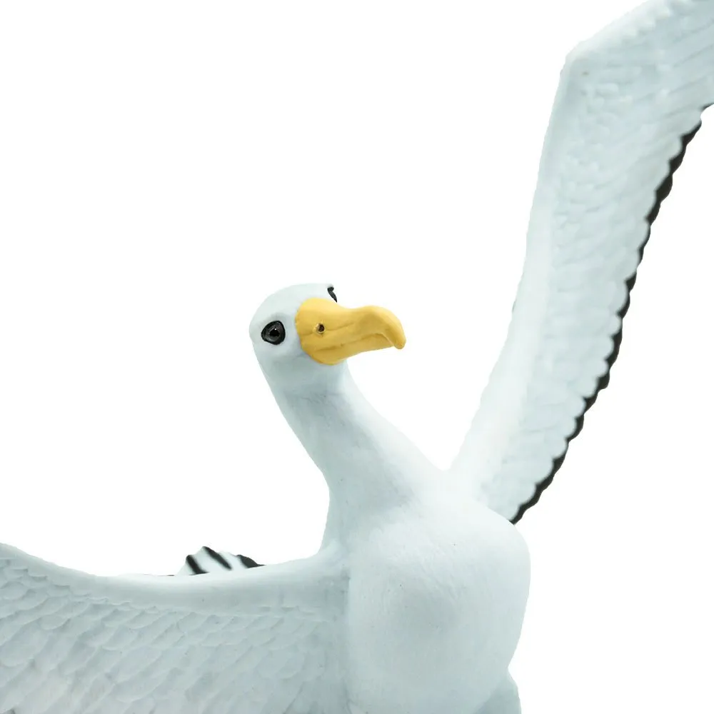 Safari ltd Giant Albatross Figure White | Kidinn