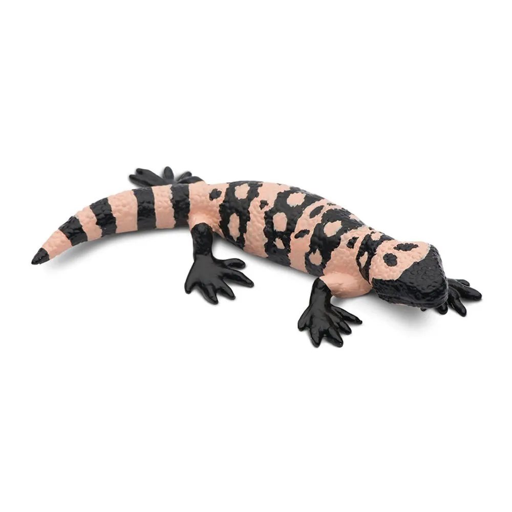 Gila Monster Baby