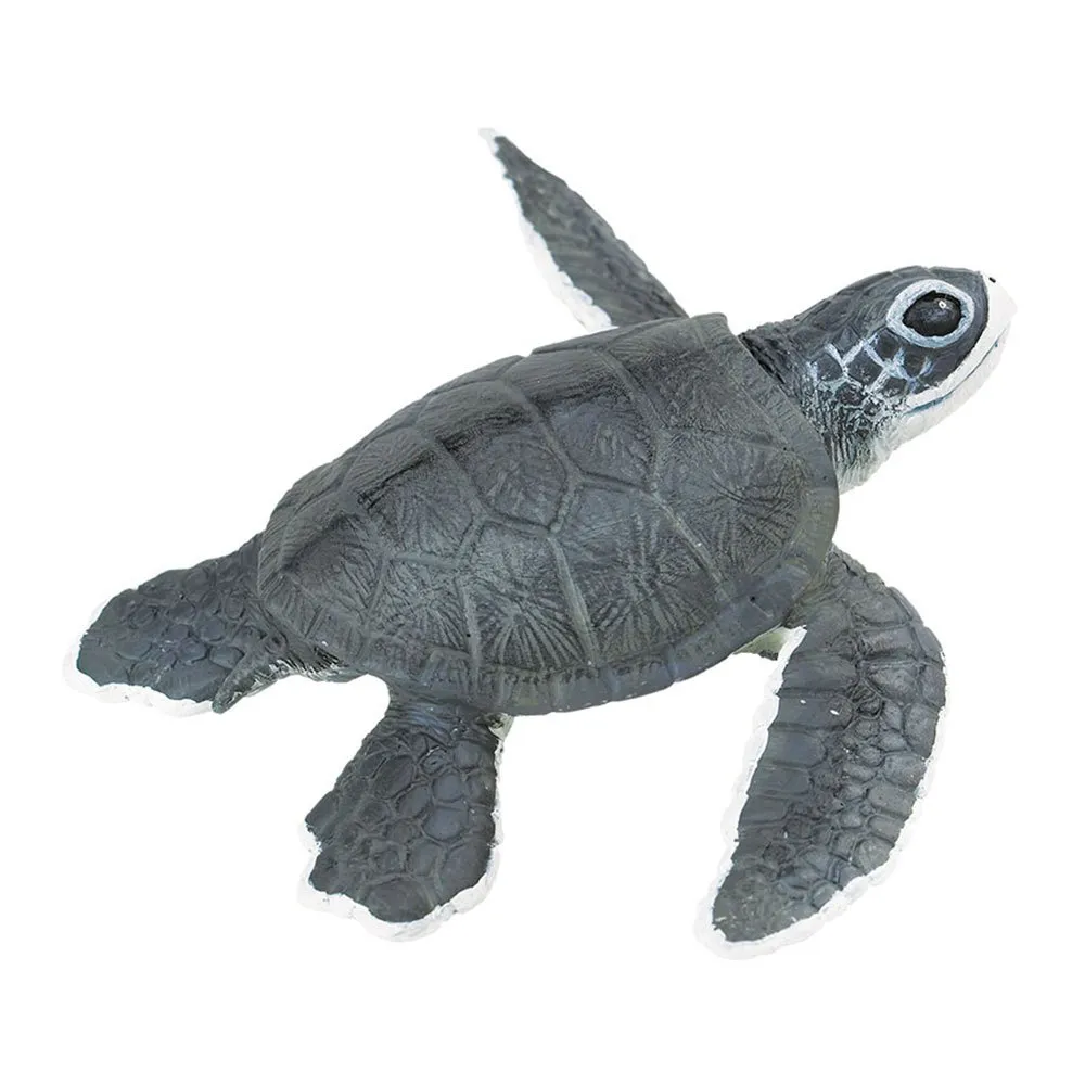 Safari ltd Figurine Sea Turtle Baby Gris | Kidinn