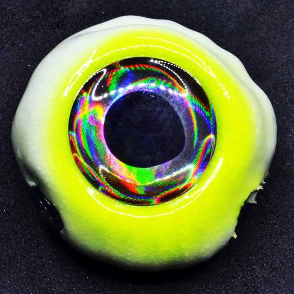 JLC Nautilus Live Kab kabura 200g Multicolor | Waveinn