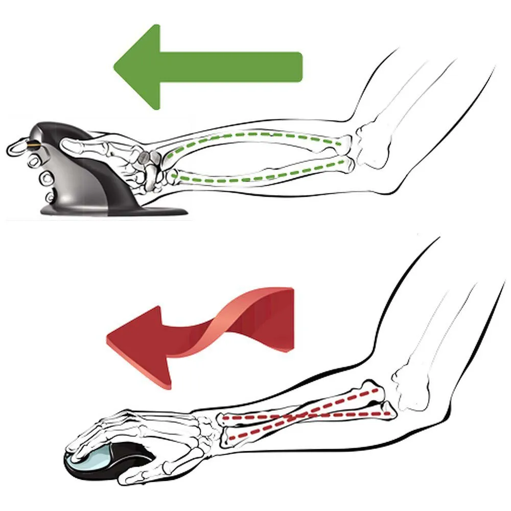 Fellowes Ergonomic Penguin L Wireless Mouse Black | Techinn