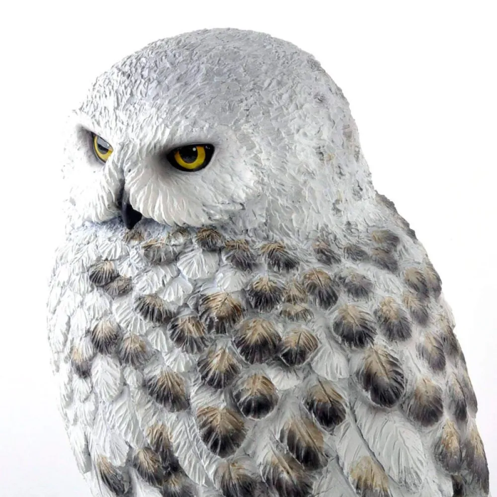 Noble collection Hedwig Figure 32 cm | Techinn