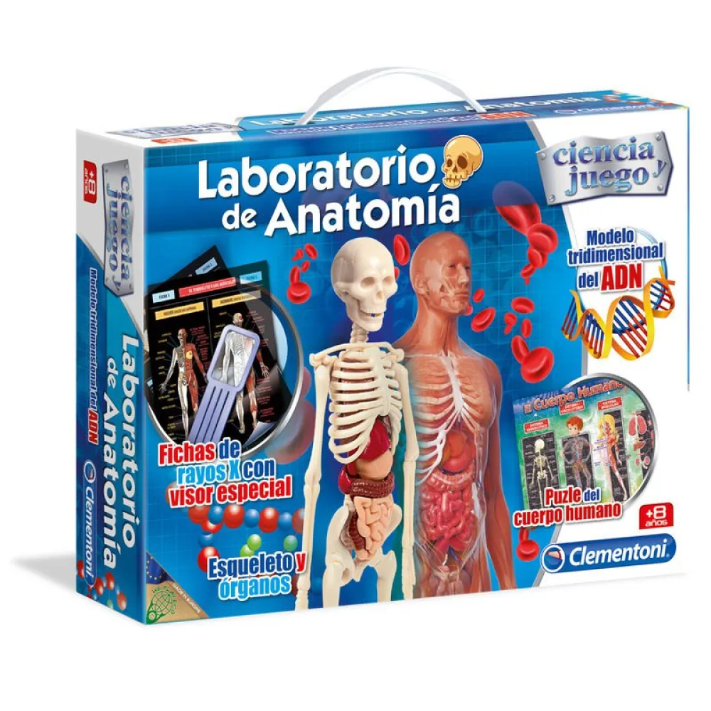 Clementoni Anatomy Laboratory Multicolor | Kidinn