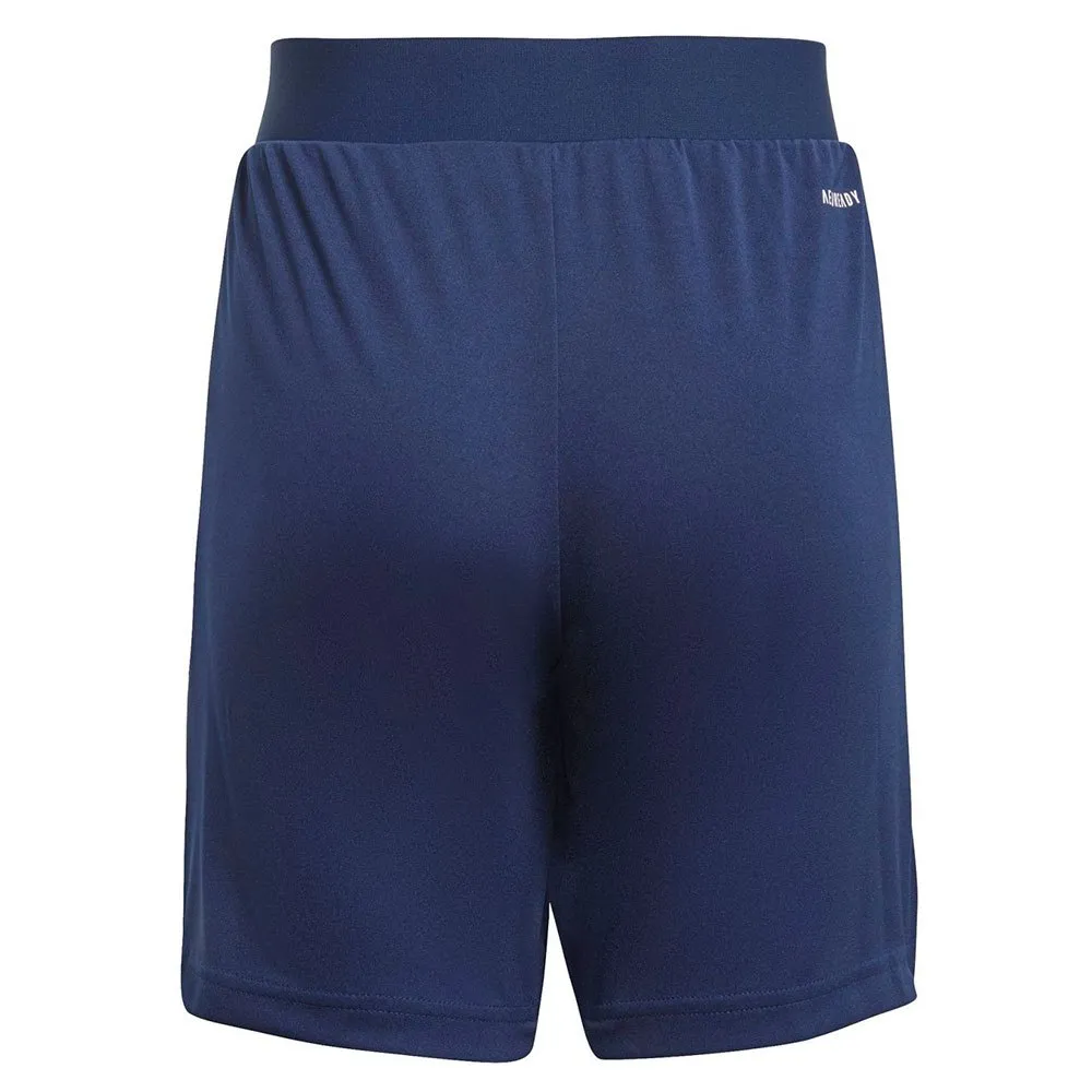 adidas Tiro 21 Shorts Blue | Kidinn