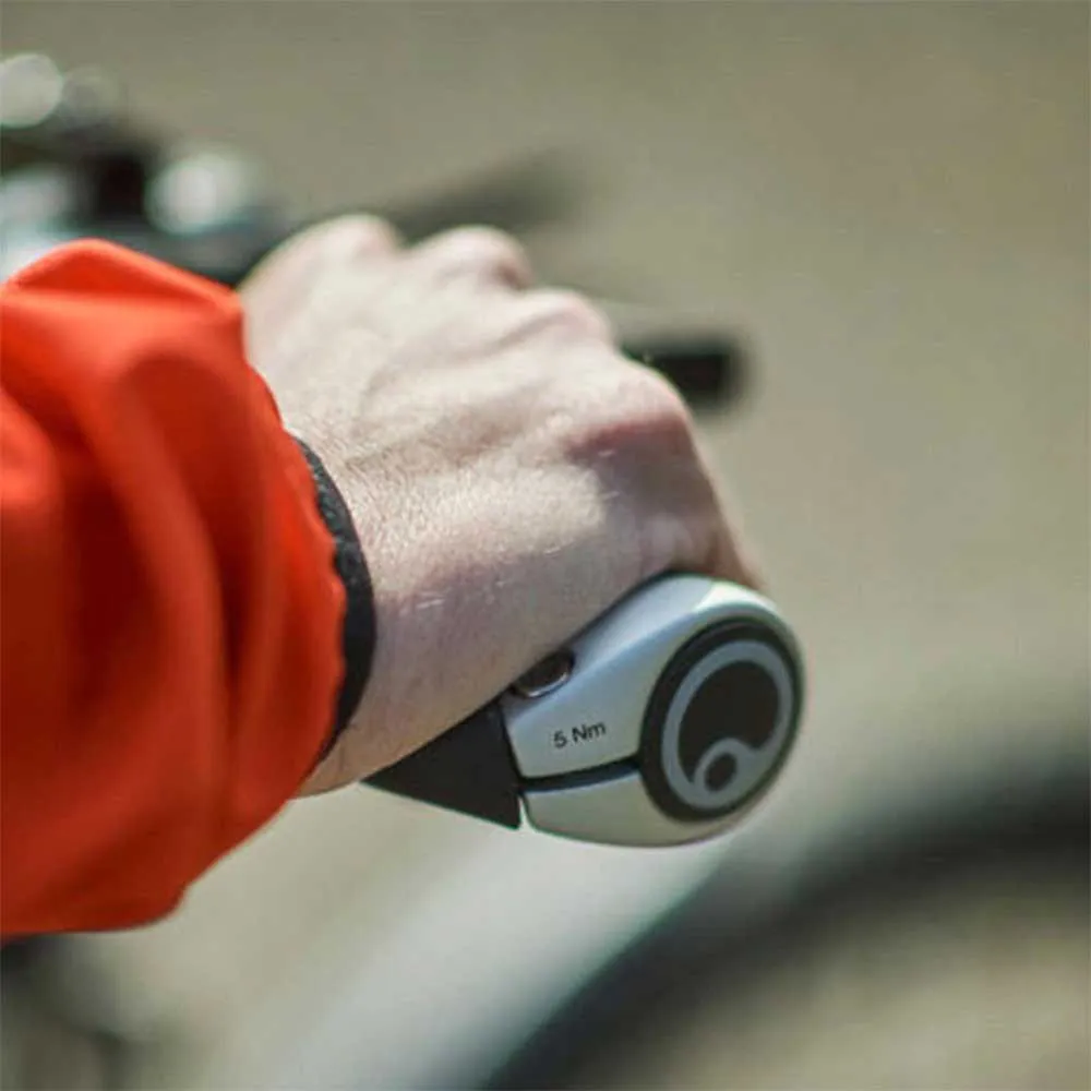 Ergon GP1 Neohift grips, Black | Bikeinn