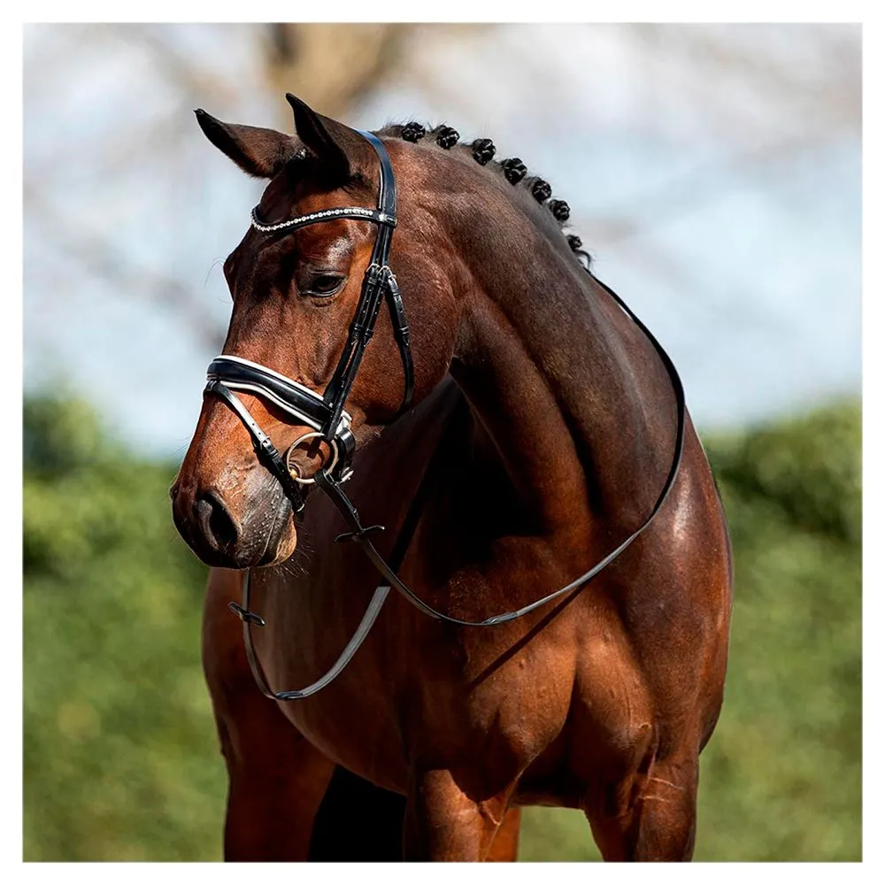 Anky Shape Wide Black | Waveinn