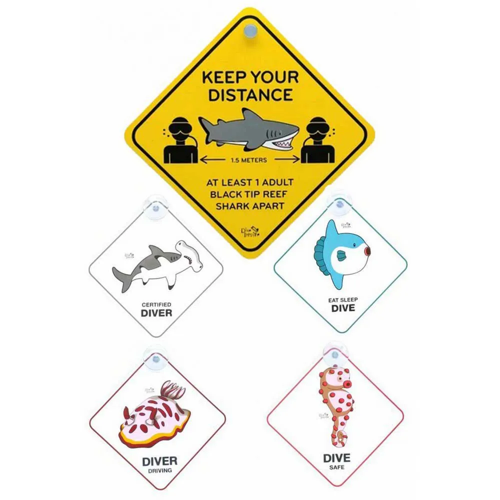 Dive inspire Bruce Window Trim | Diveinn