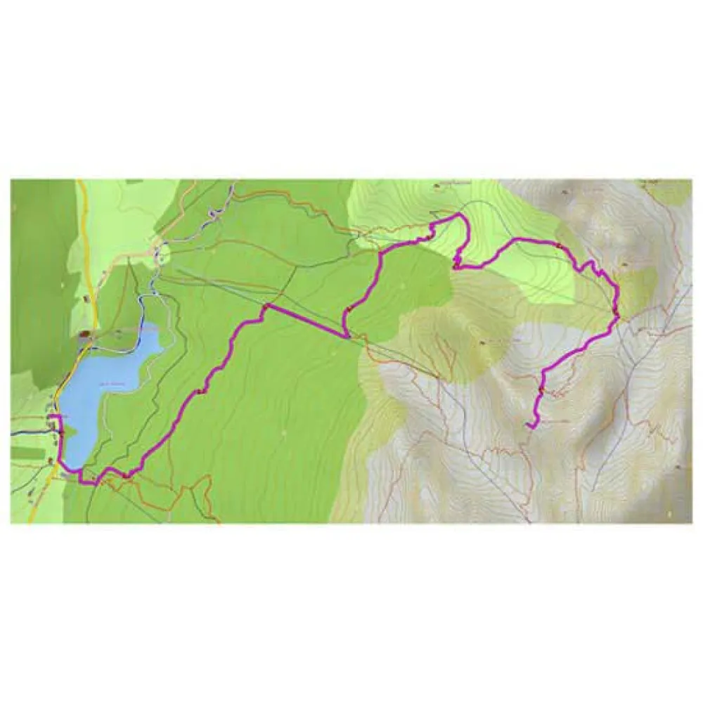 Garmin TrekMap Italy v6 PRO microSD/SD Card Multicolor | Trekkinn