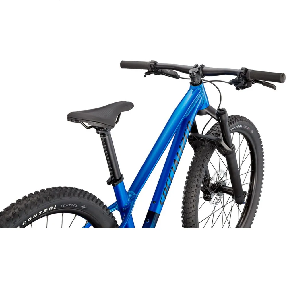 Specialized Riprock Expert 24 MTB Bike, Blue | Bikeinn