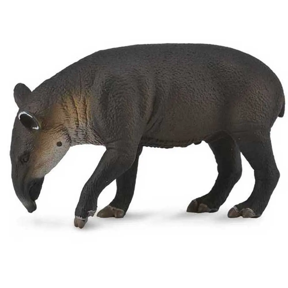 Collecta Central American Tapir Figure | Kidinn