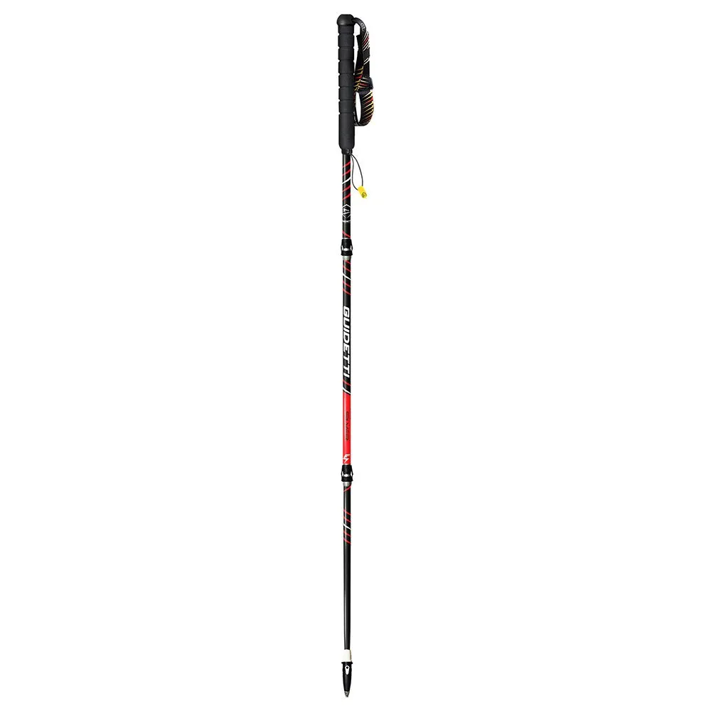 Guidetti Silver Poles Silver | Trekkinn