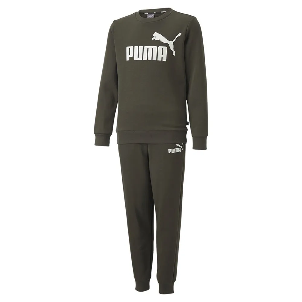 Puma Logo Fl tracksuit Green | Dressinn