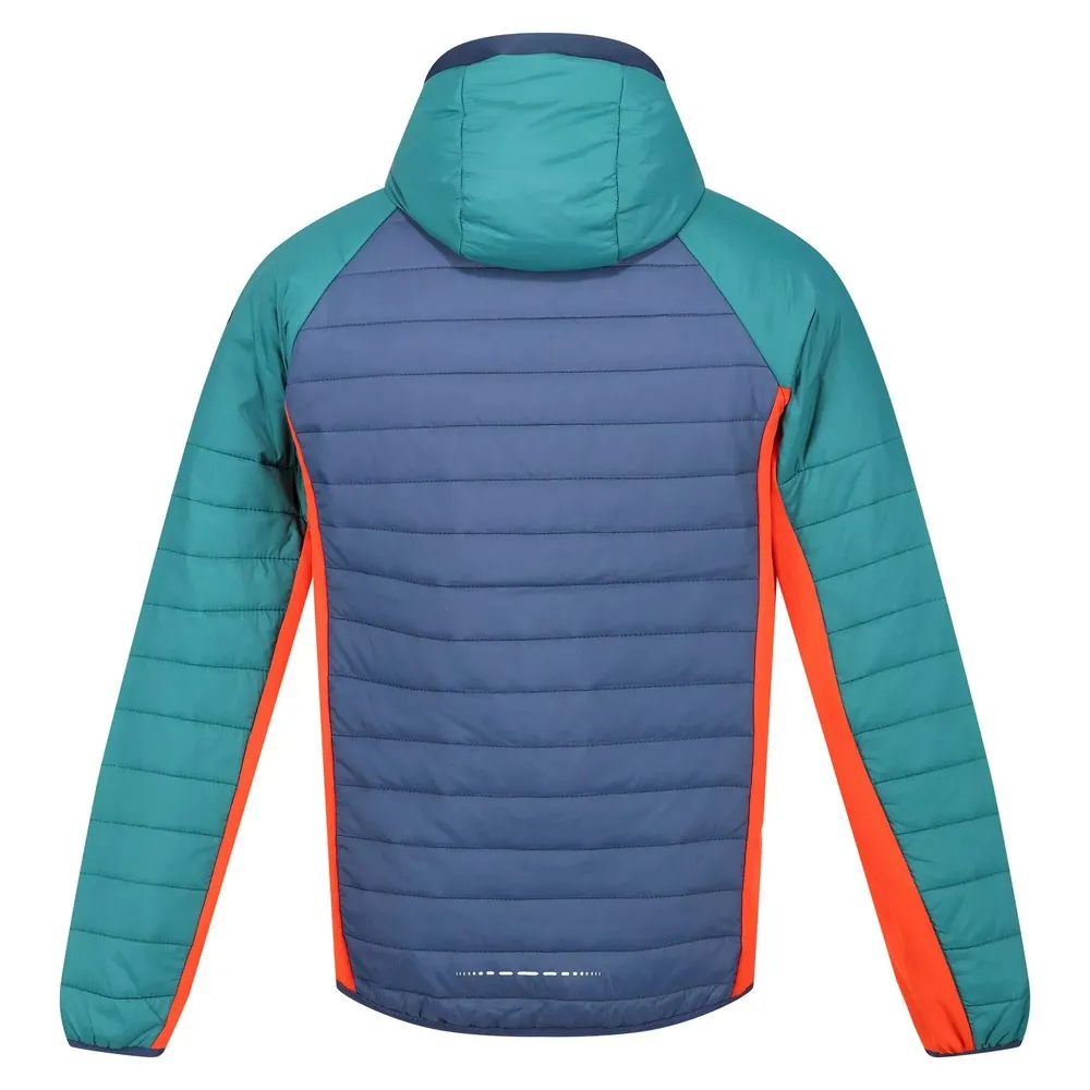 Regatta Trutton jacket Green | Trekkinn