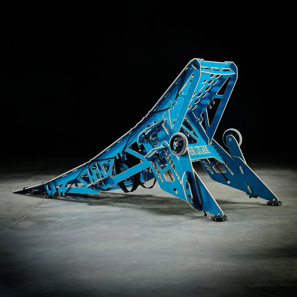 MTB Hopper Rampa Lil Air | Bikeinn