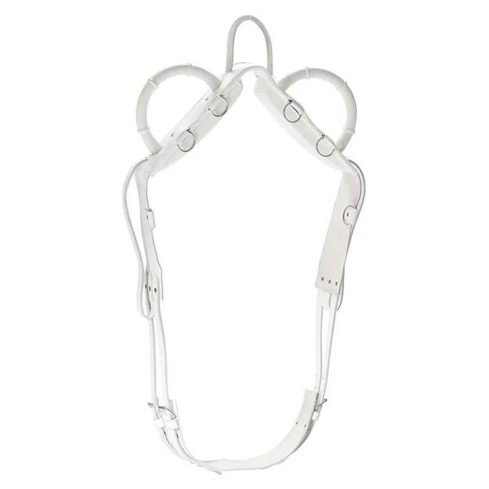 Norton equestrian Vaulting Surcingle | Waveinn