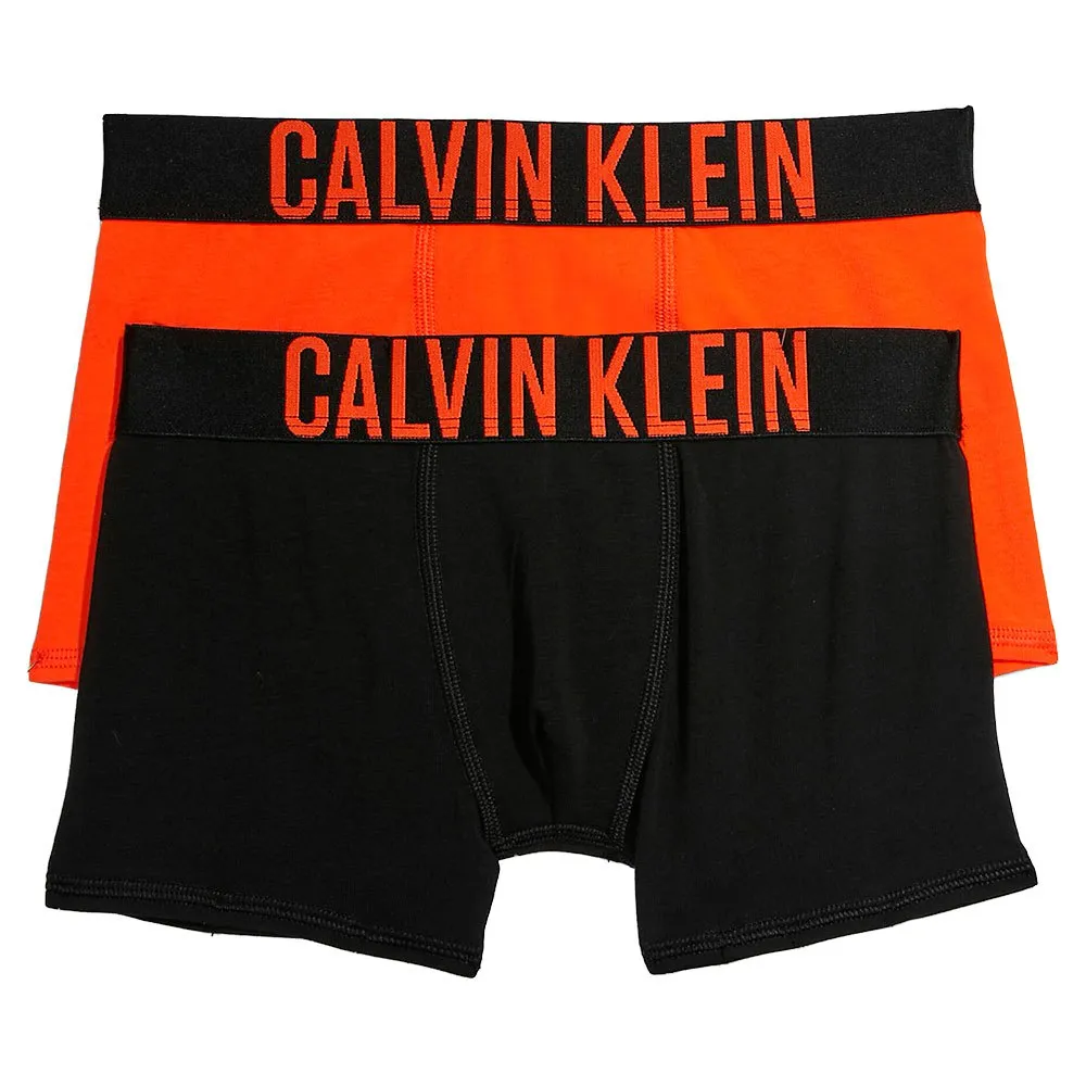 Calvin klein Boxer 2 units Multicolor | Dressinn