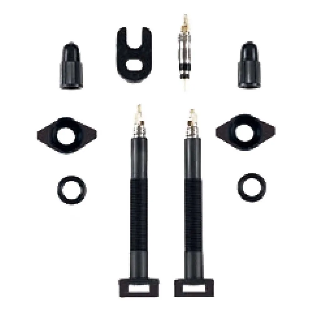 Squad Carbon Tubeless Valve 65mm 2 Units, Silver | Bikeinn