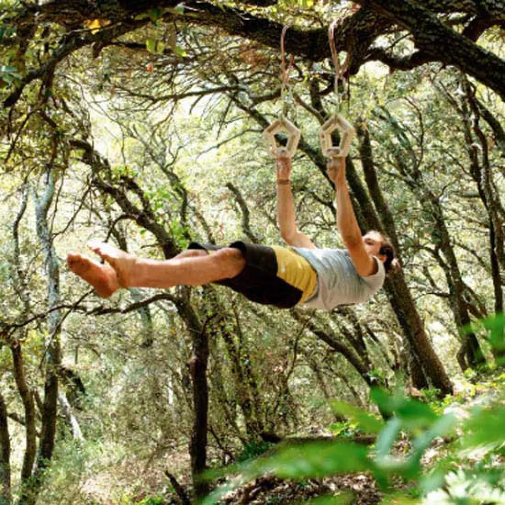 Yy vertical Penta Finger Train Golden | Traininn