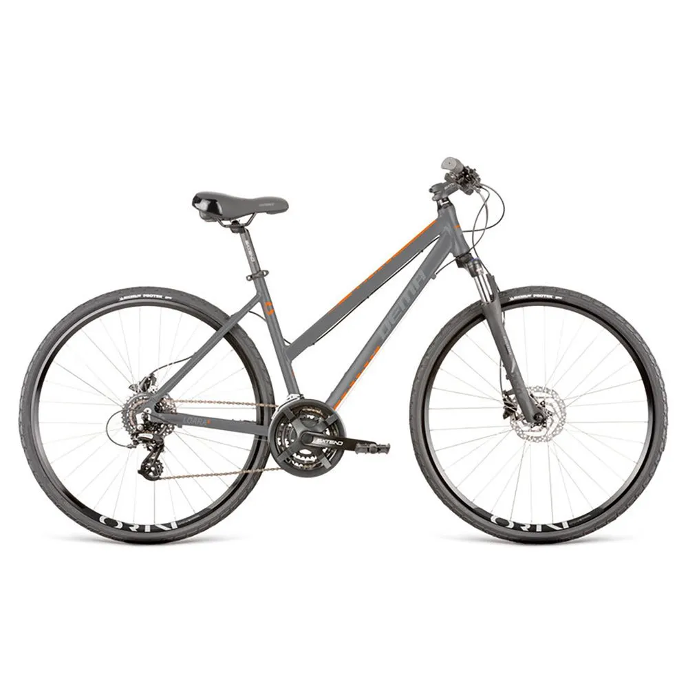 Dema Loara 5 Bike, Silver | Bikeinn