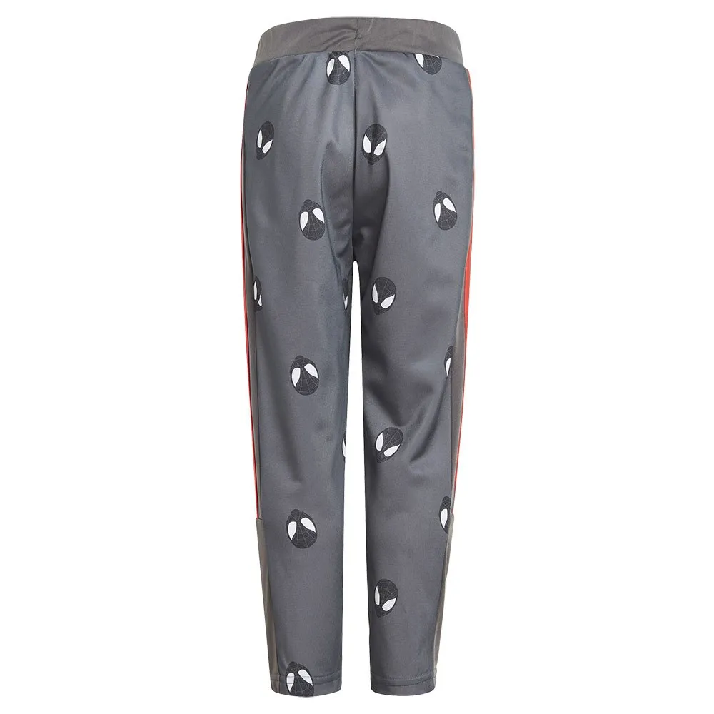 adidas X Marvel Spider-Man Pants Grey | Kidinn