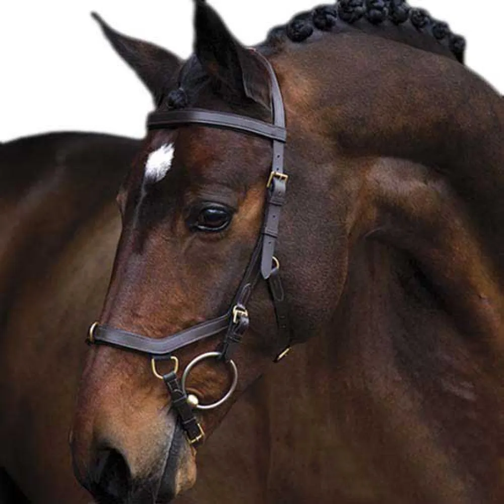 Rambo Micklem Multi Original Bridle Brown | Horse Riding
