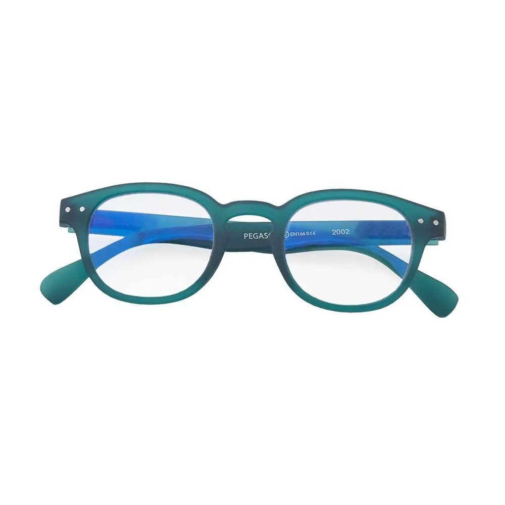Pegaso Mod.D01 Protection Glasses Clear | Dressinn