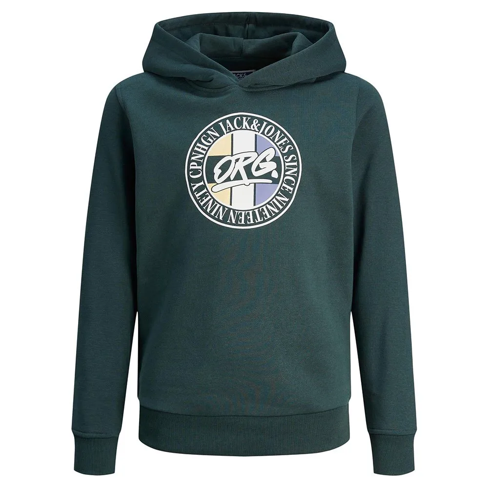 Jack & jones Arthur hoodie Green | Dressinn