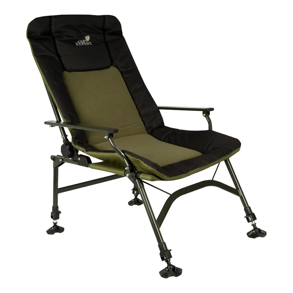 Carp expert President Chair Silver | Waveinn