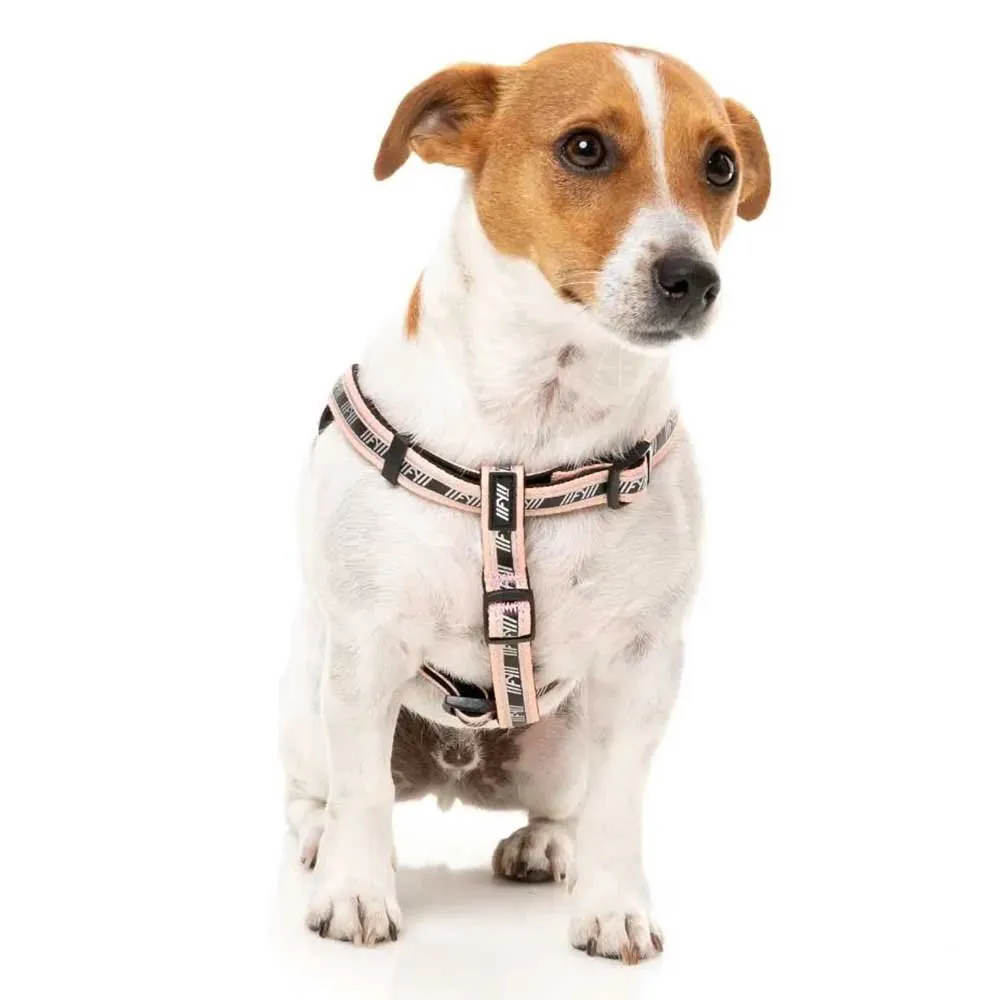 Fuzzyard active Strap Harness Silver | Trekkinn