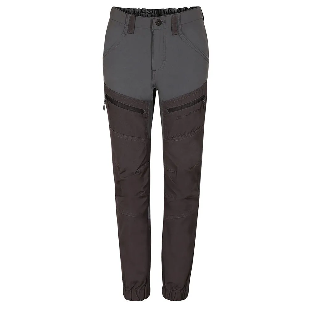 Alpine pro Regemo Pants Grey | Trekkinn