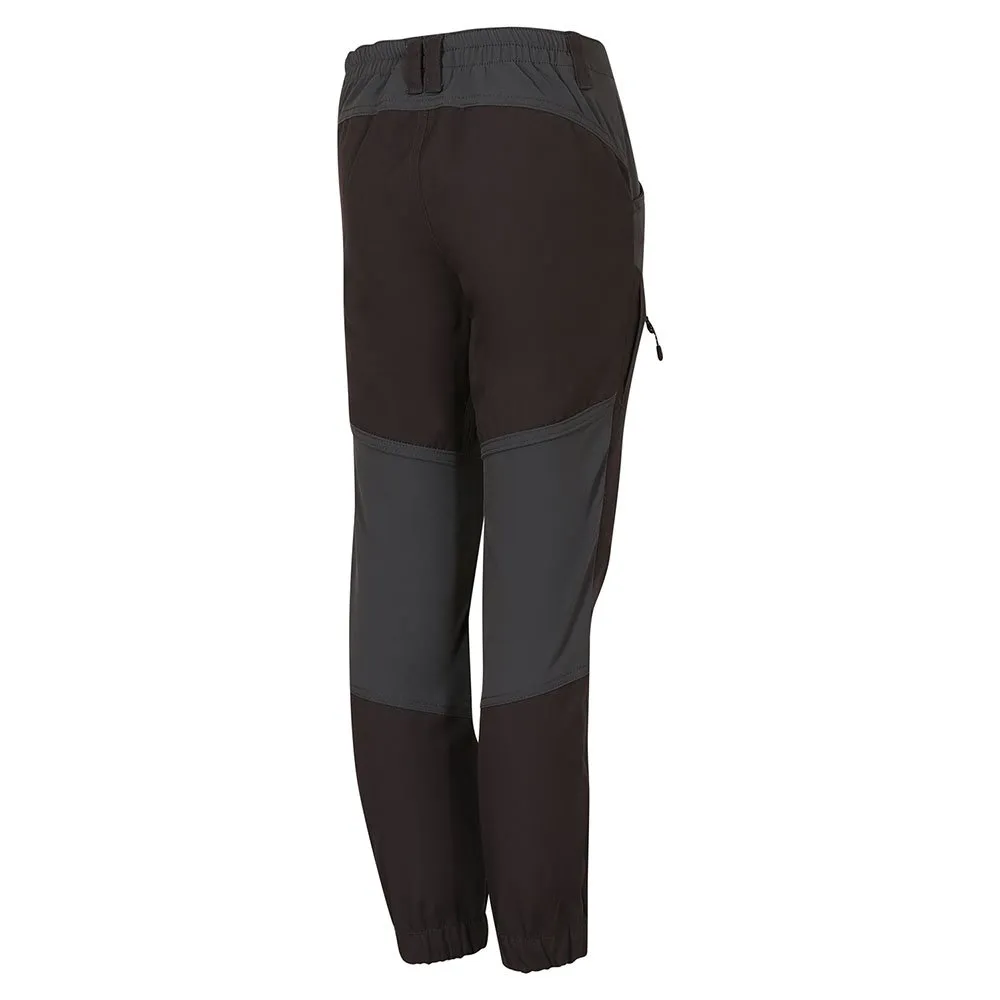 Alpine pro Regemo Pants Grey | Trekkinn