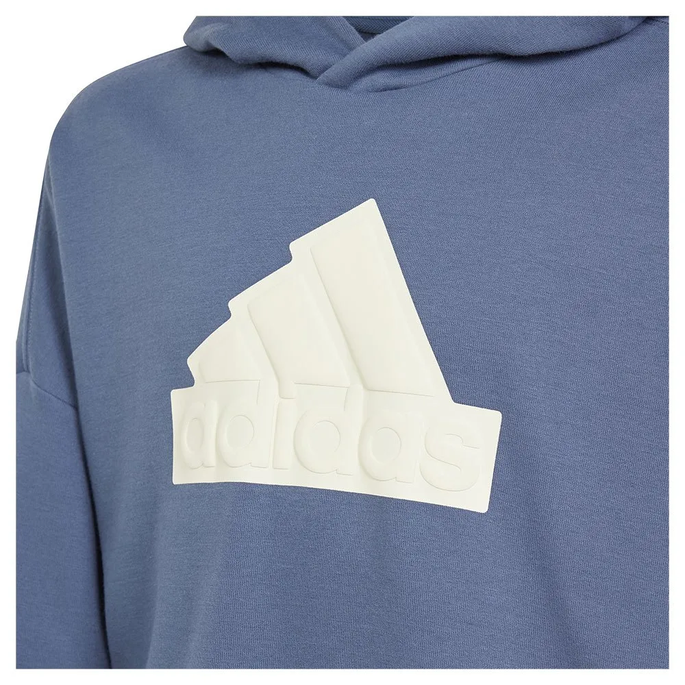 adidas Future Icons Logo hoodie Blue | Dressinn