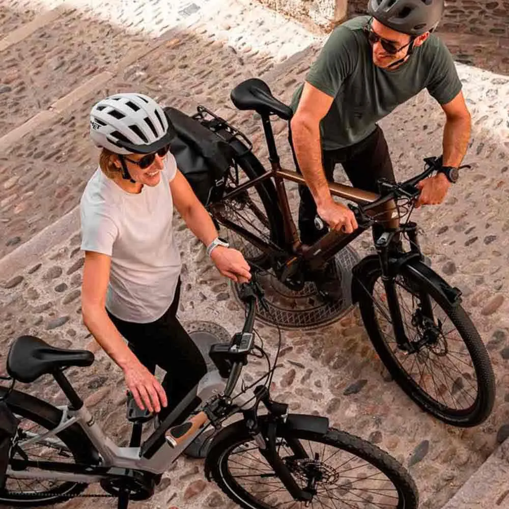 Ergon GP1 EVO Rohloff/Nexus grips, Black | Bikeinn