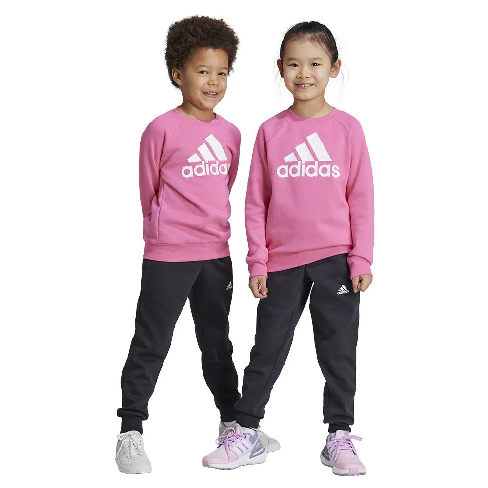 adidas Essentials Logo Fleece set Pink | Dressinn
