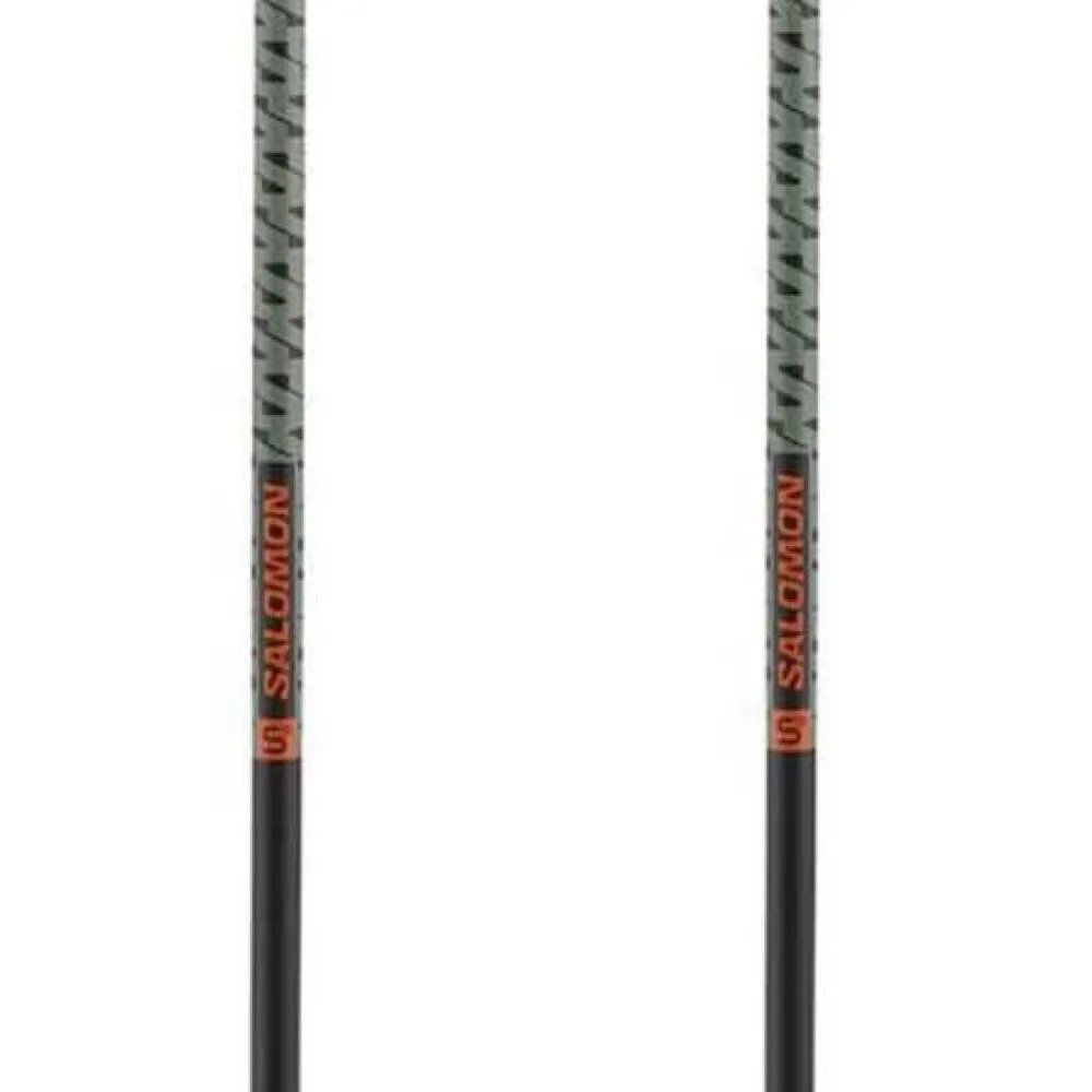 Salomon Polar Pro S3 poles Silver | Snowinn