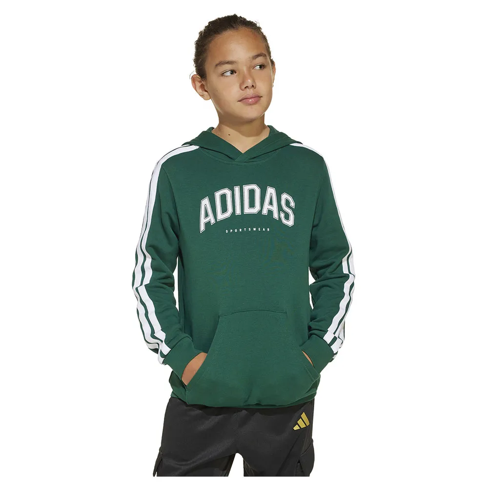 adidas Codes Collegiate Graphic hoodie Green | Dressinn