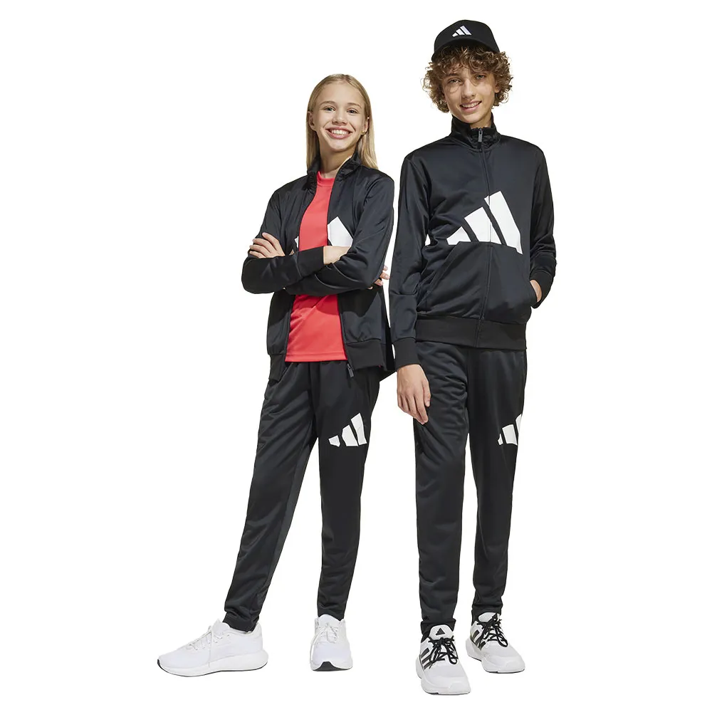 adidas Essentials Big Logo Climacool tracksuit Black | Dressinn