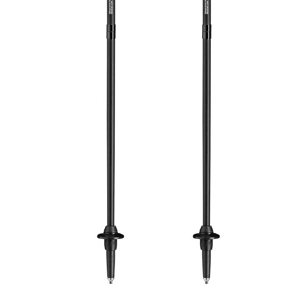 Leki Skytera FX Carbon SL poles Silver | Trekkinn