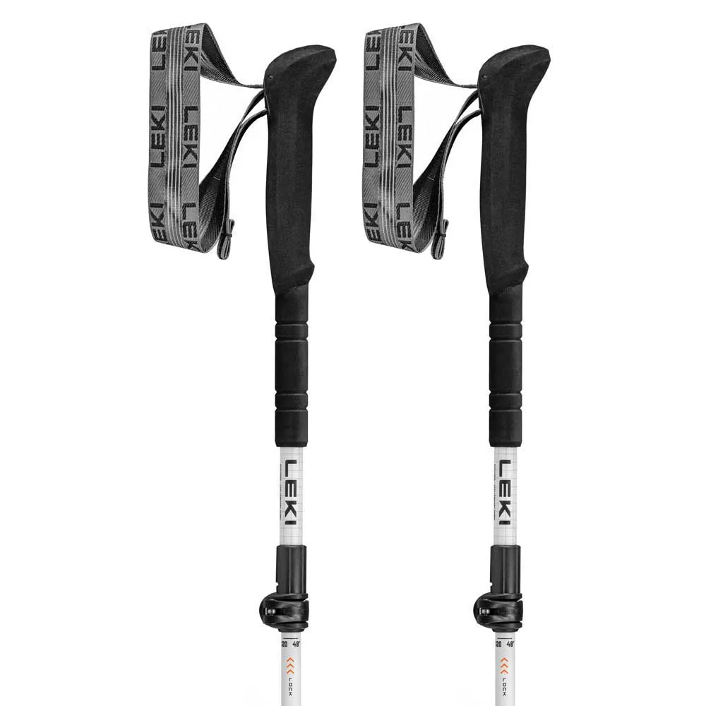 Leki Skytera FX Carbon SL poles Silver | Trekkinn
