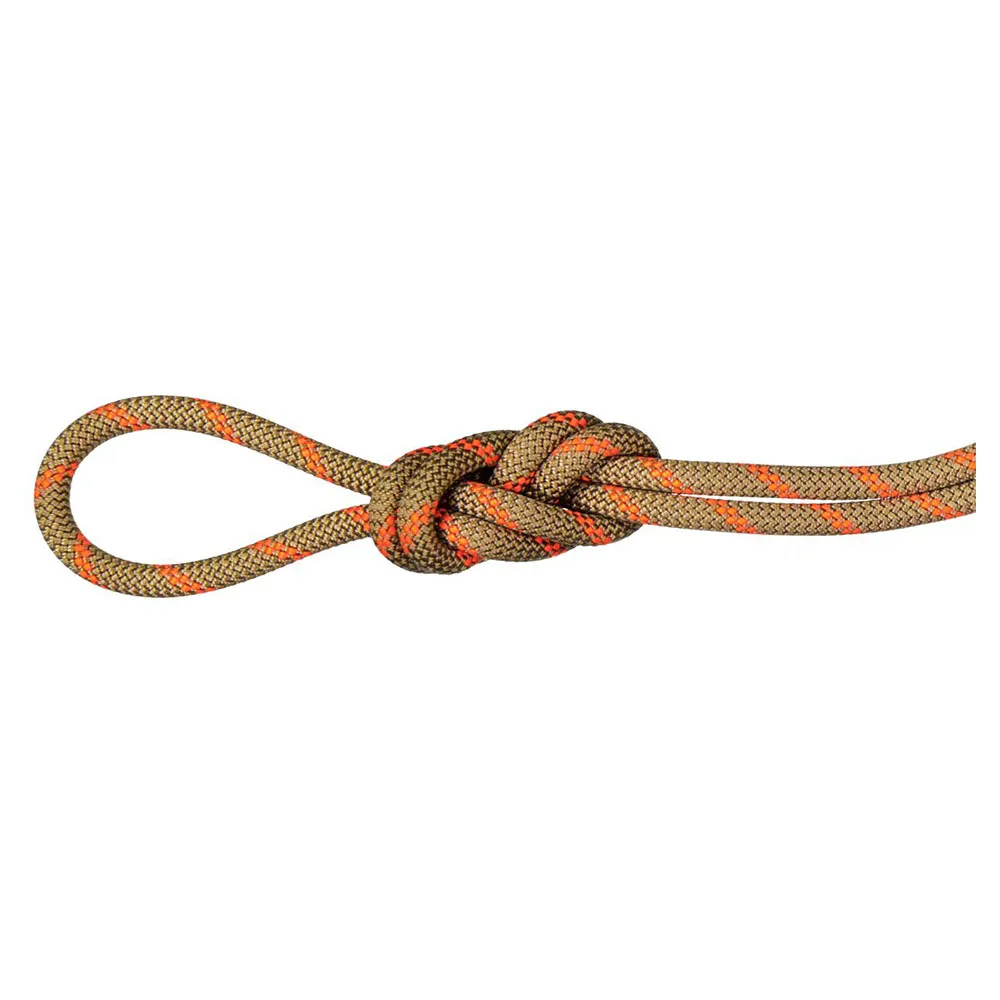 Mammut Alpine Dry 8 mm rope Golden | Trekkinn