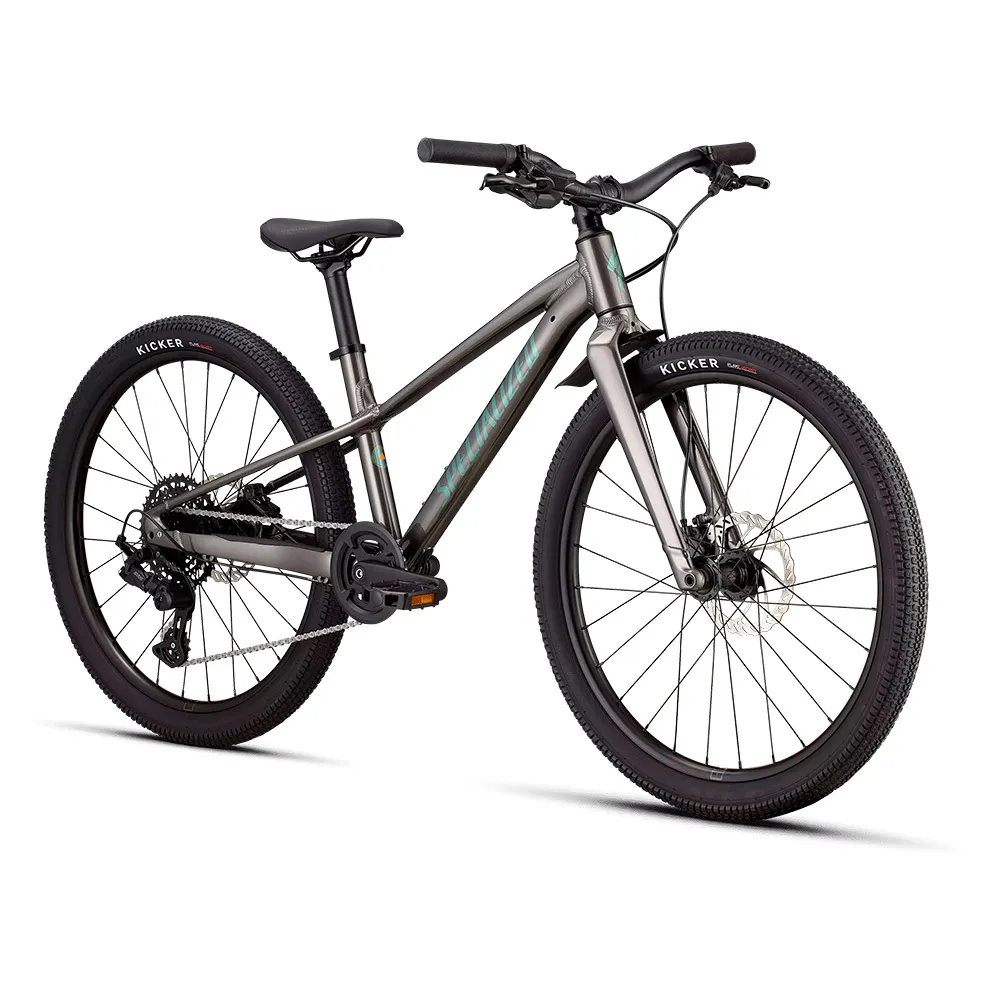 Specialized Riprock 24´´ Advent 2026 mountainbike, Silber | Bikeinn