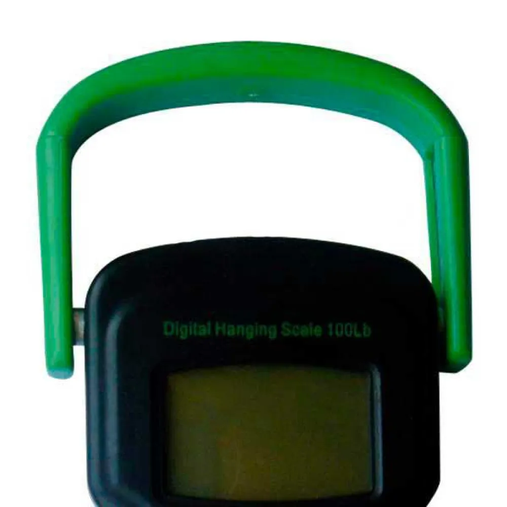 Evia Mod.44 Scale | Waveinn