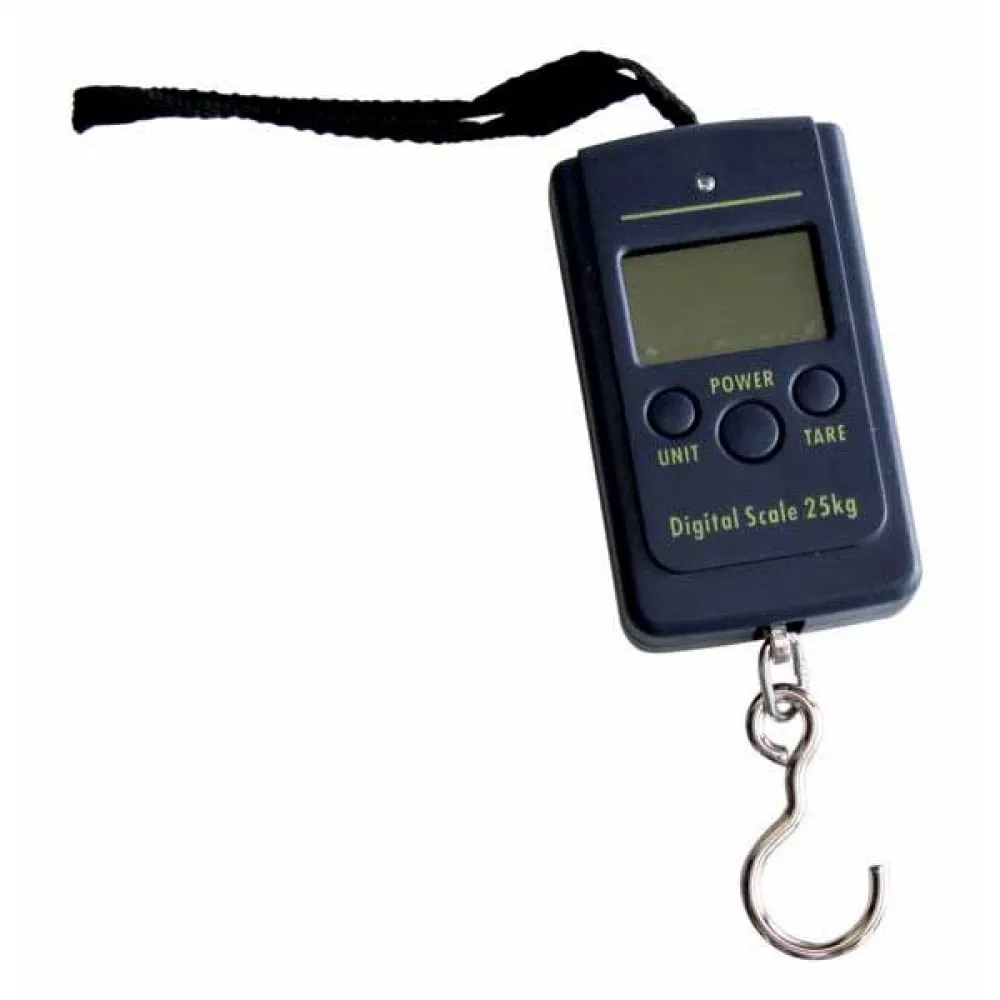 Evia Digital Scale | Waveinn